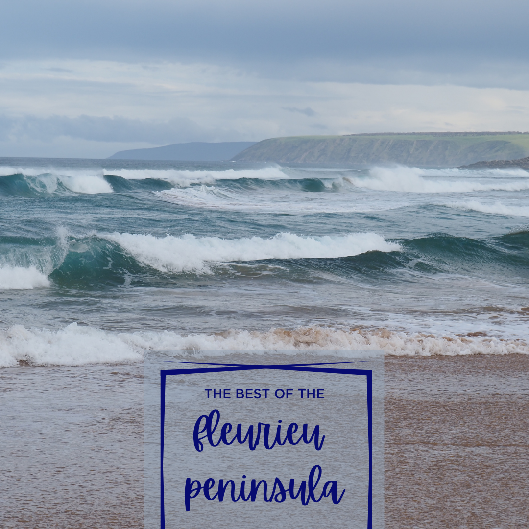 The Best of the Fleurieu Peninsula - West of Anywhere