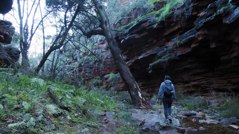 The Ultimate Flinders Ranges Road Trip – West of Anywhere