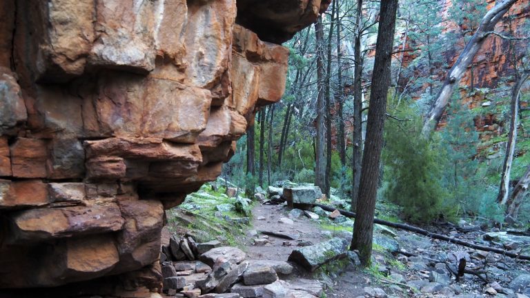 The Ultimate Flinders Ranges Road Trip – West of Anywhere
