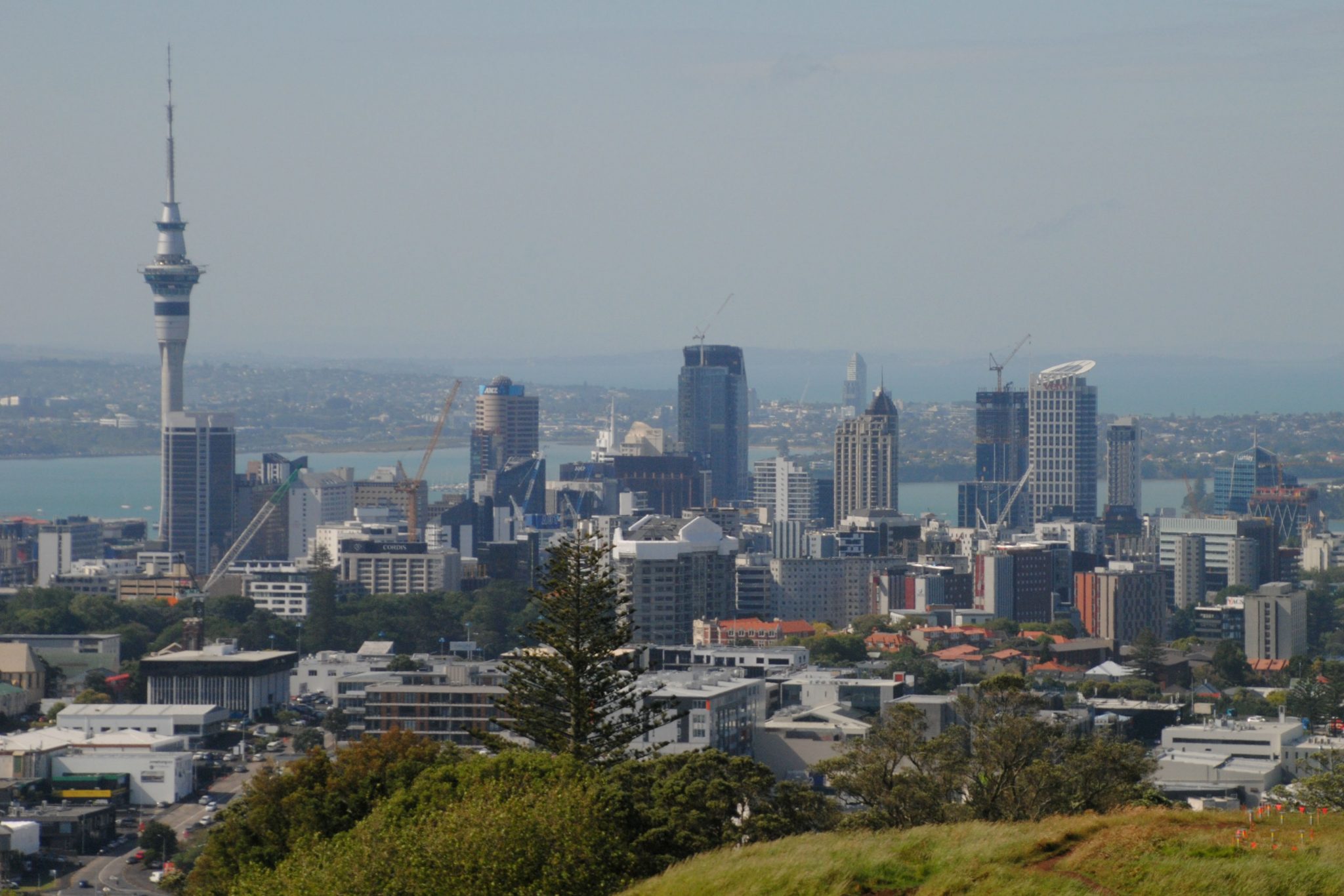 The 5 Best Views of Auckland’s Skyline – West of Anywhere
