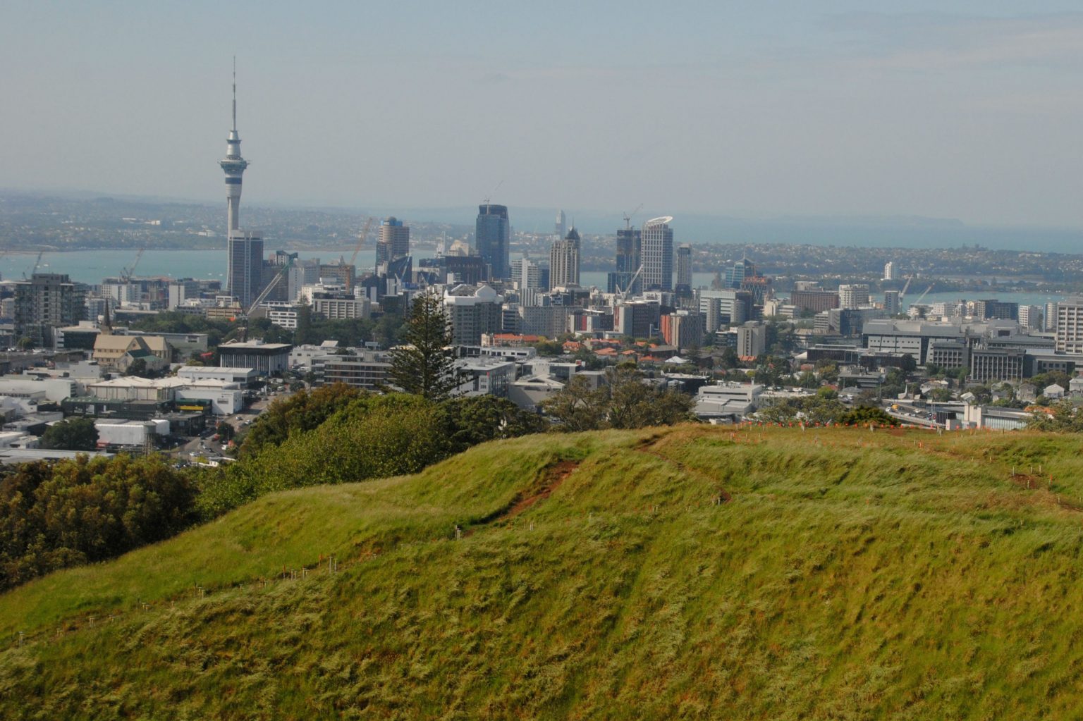 The 5 Best Views of Auckland’s Skyline – West of Anywhere