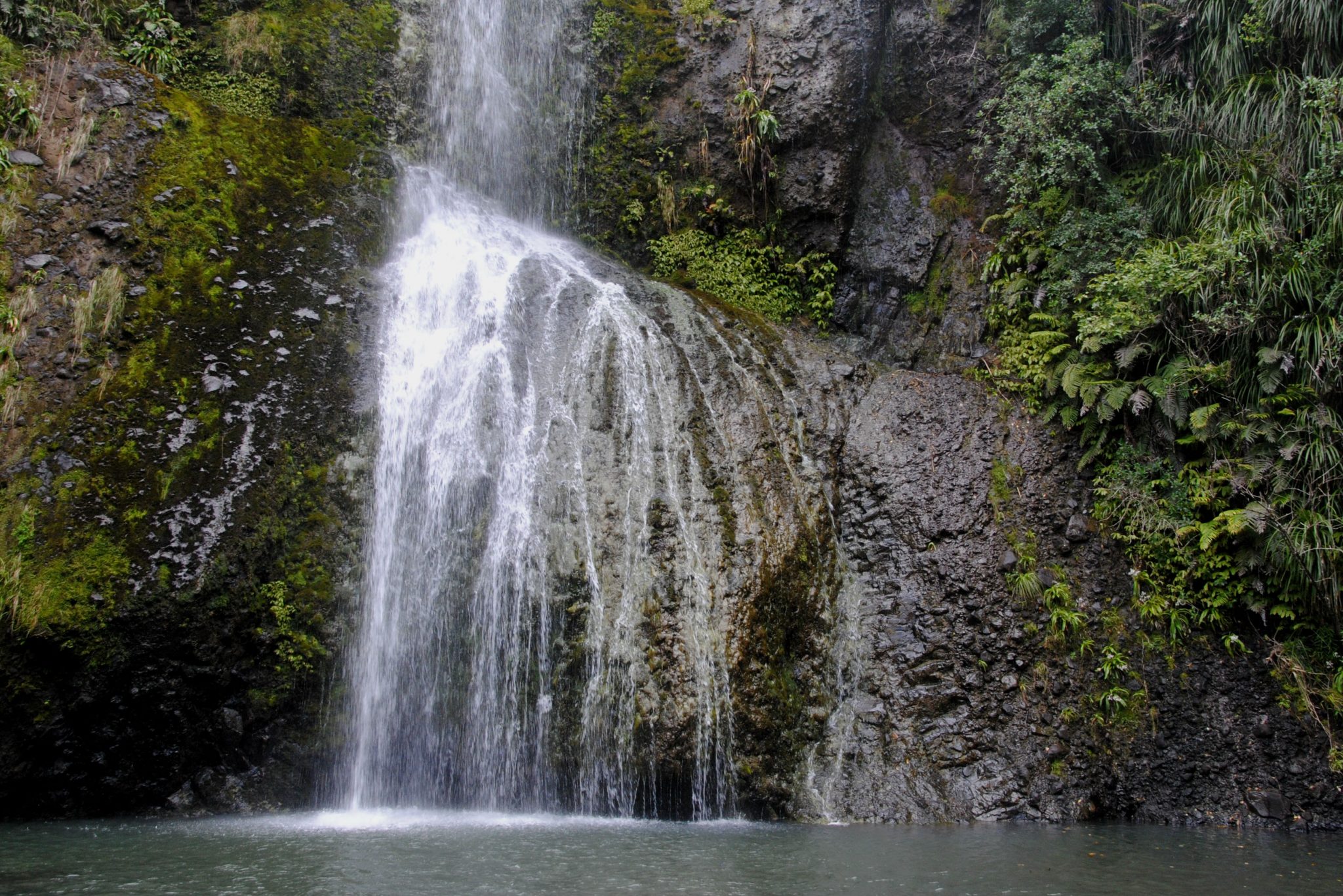 A day in the Waitakere Ranges – West of Anywhere