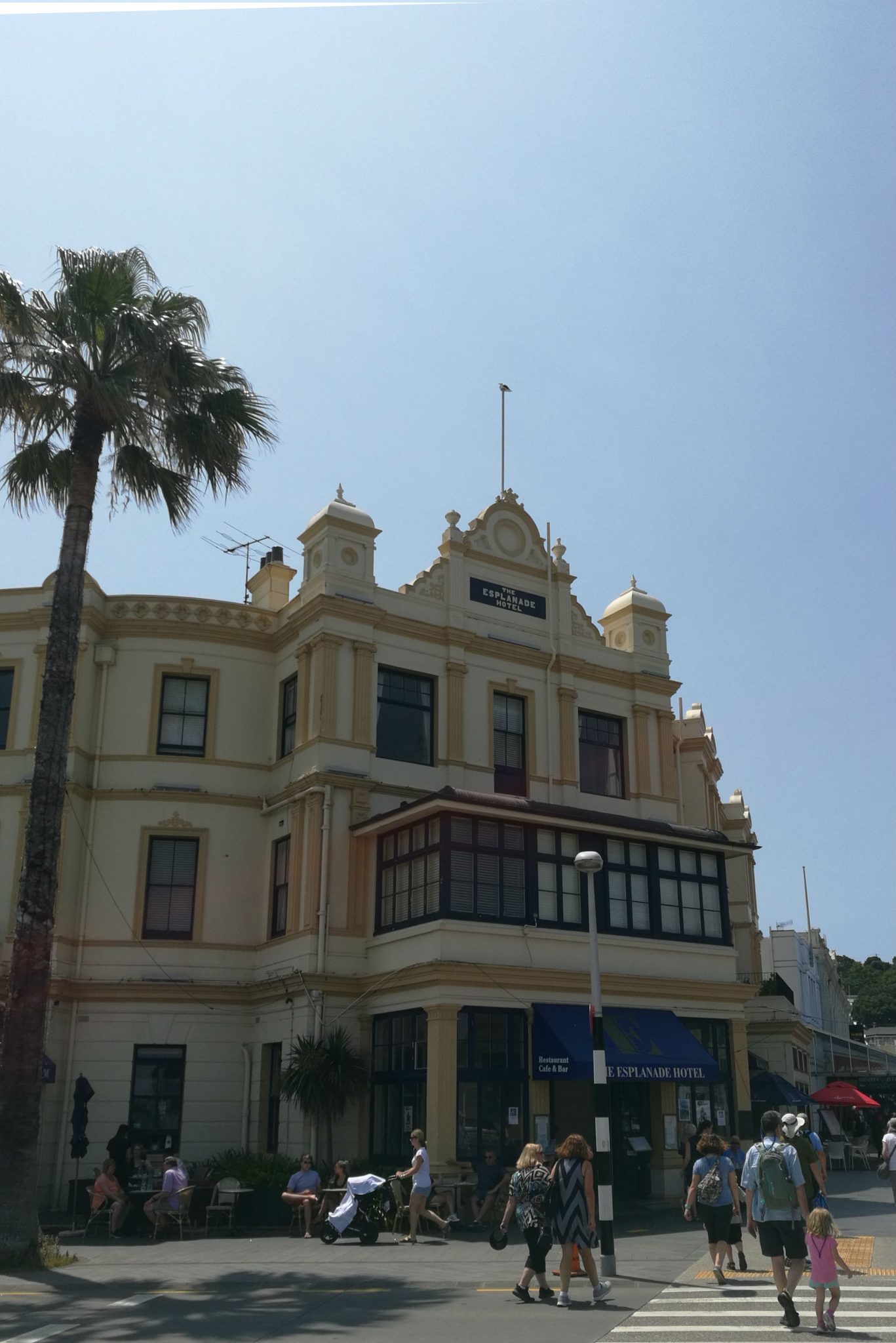The Best of Devonport – West of Anywhere
