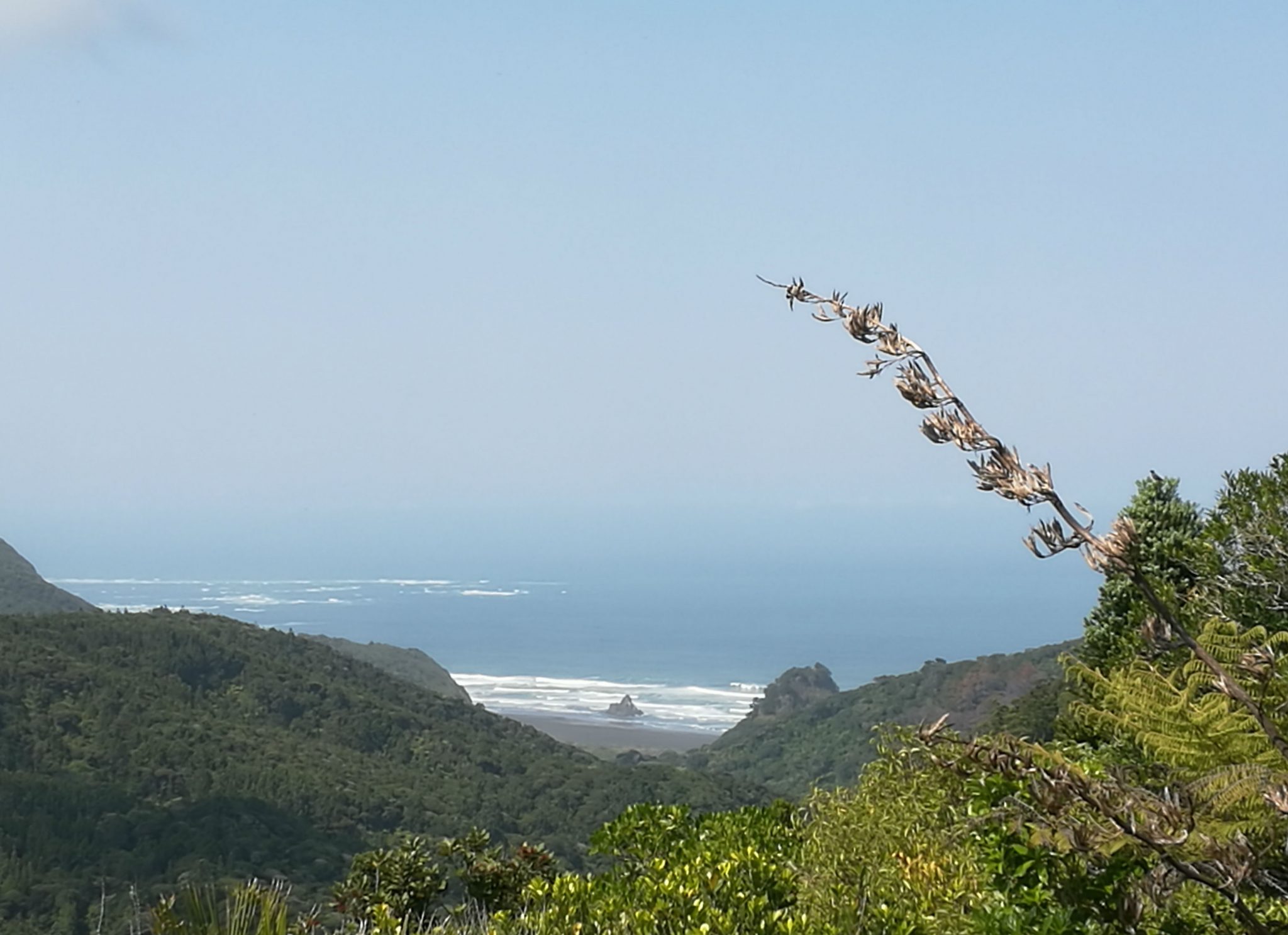 A day in the Waitakere Ranges – West of Anywhere