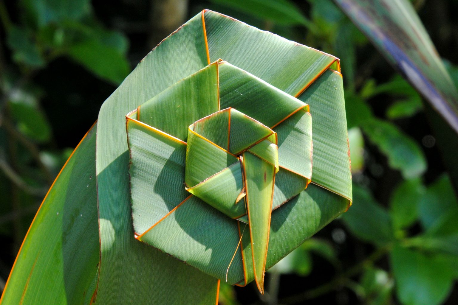 A day in the Waitakere Ranges – West of Anywhere