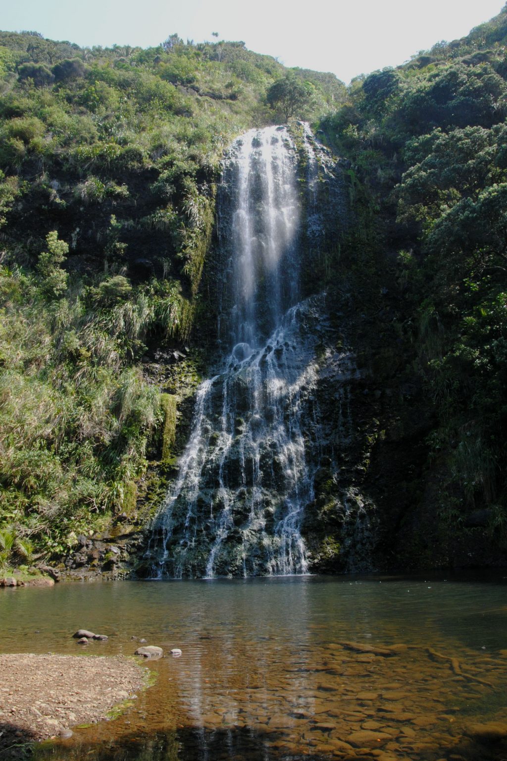 A day in the Waitakere Ranges – West of Anywhere