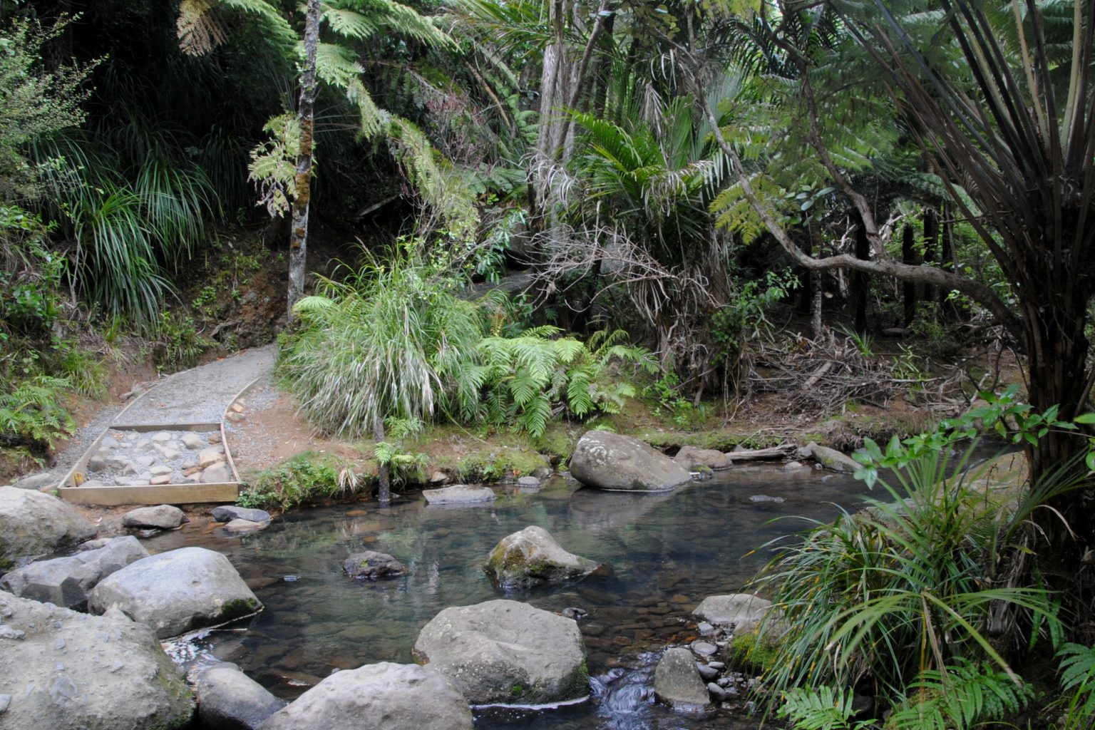 A day in the Waitakere Ranges – West of Anywhere