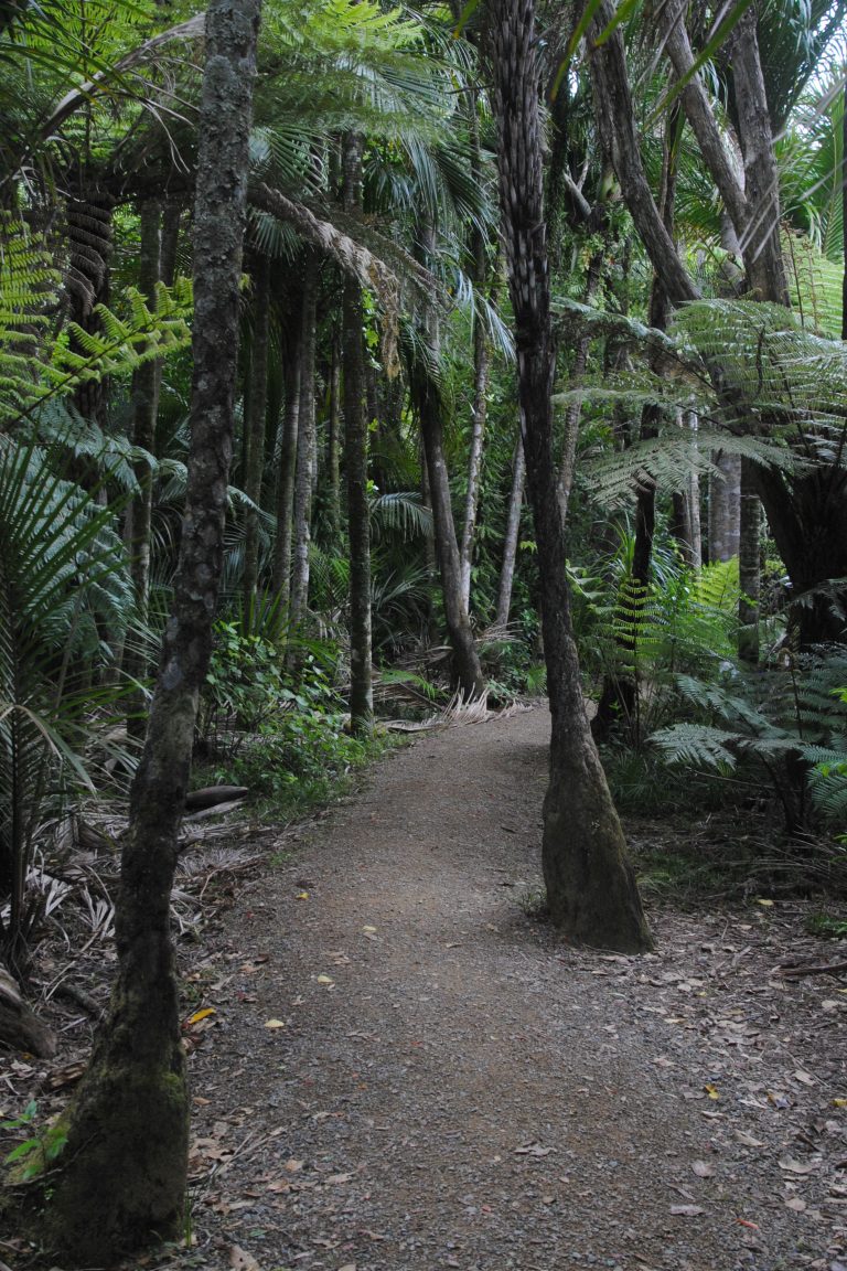 A day in the Waitakere Ranges – West of Anywhere