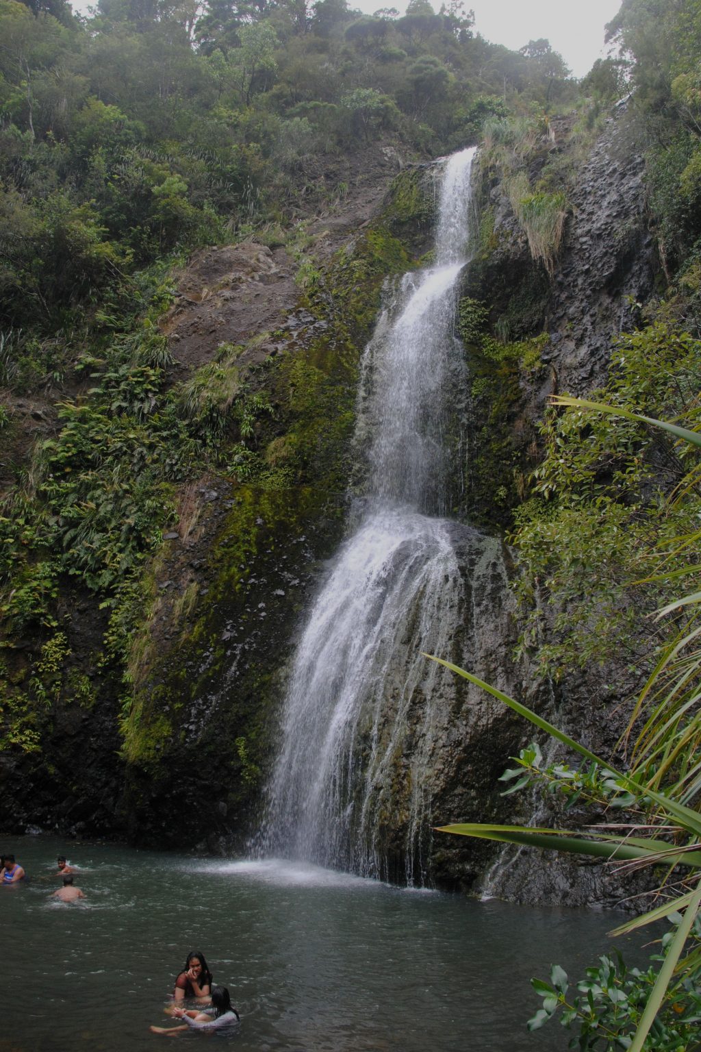 A day in the Waitakere Ranges – West of Anywhere