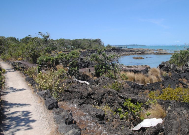Hiking Rangitoto Island – West of Anywhere
