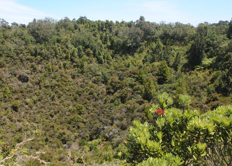 Hiking Rangitoto Island – West of Anywhere