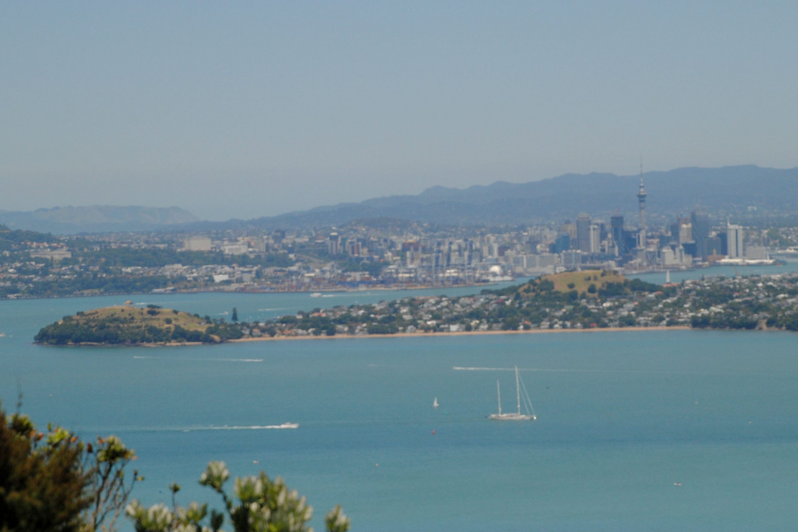 Hiking Rangitoto Island – West of Anywhere