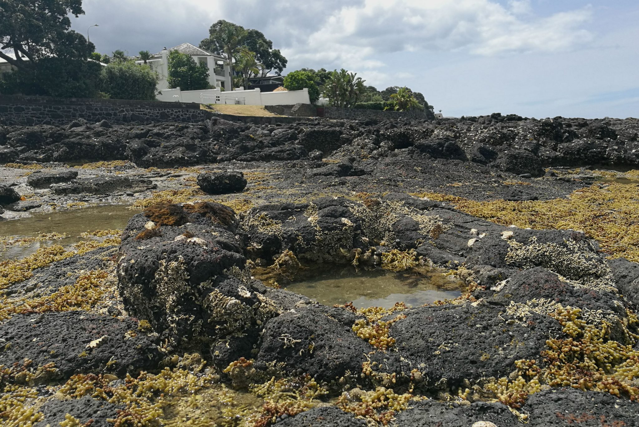 The Best of Devonport – West of Anywhere