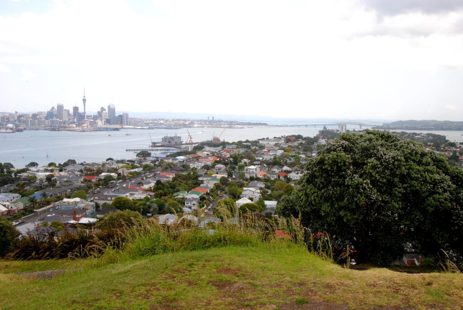 The 5 Best Views of Auckland’s Skyline – West of Anywhere