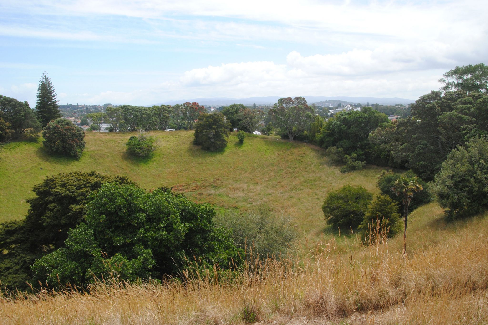 Exploring Auckland’s Volcanoes – West of Anywhere