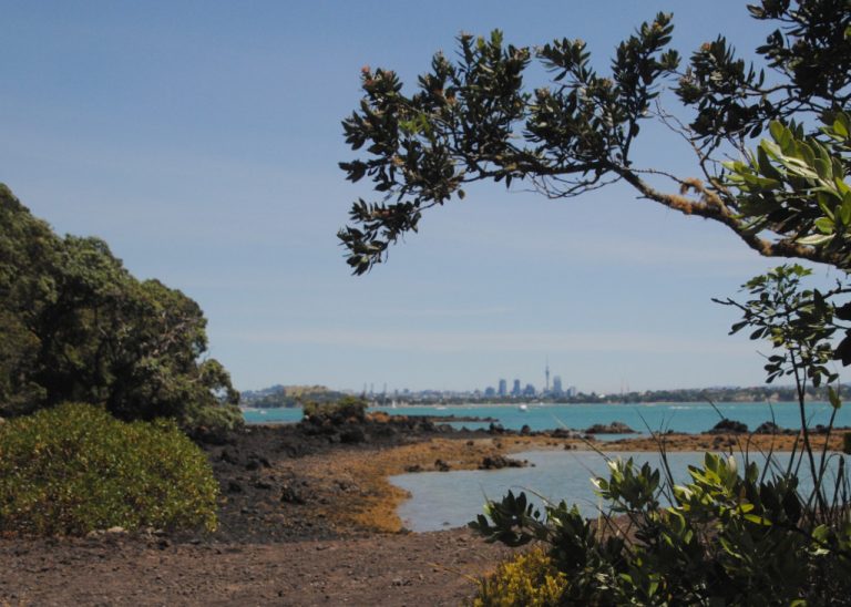 Hiking Rangitoto Island – West of Anywhere