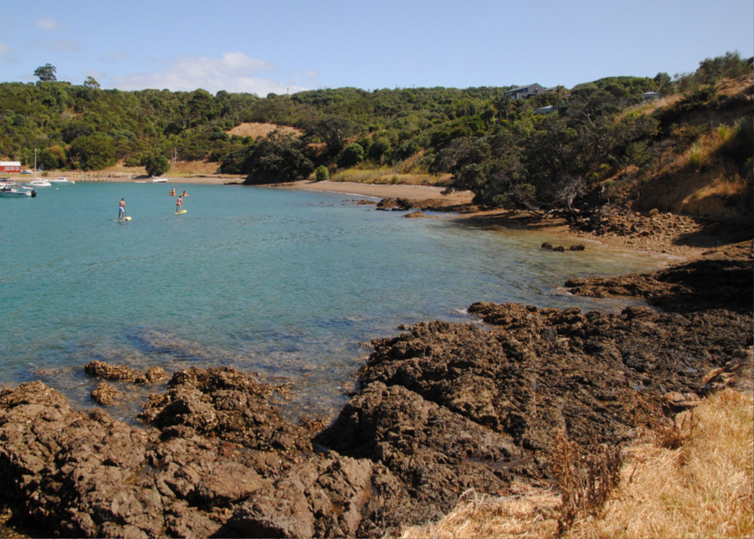 Wandering Waiheke Island: A weekend on the trails – West of Anywhere